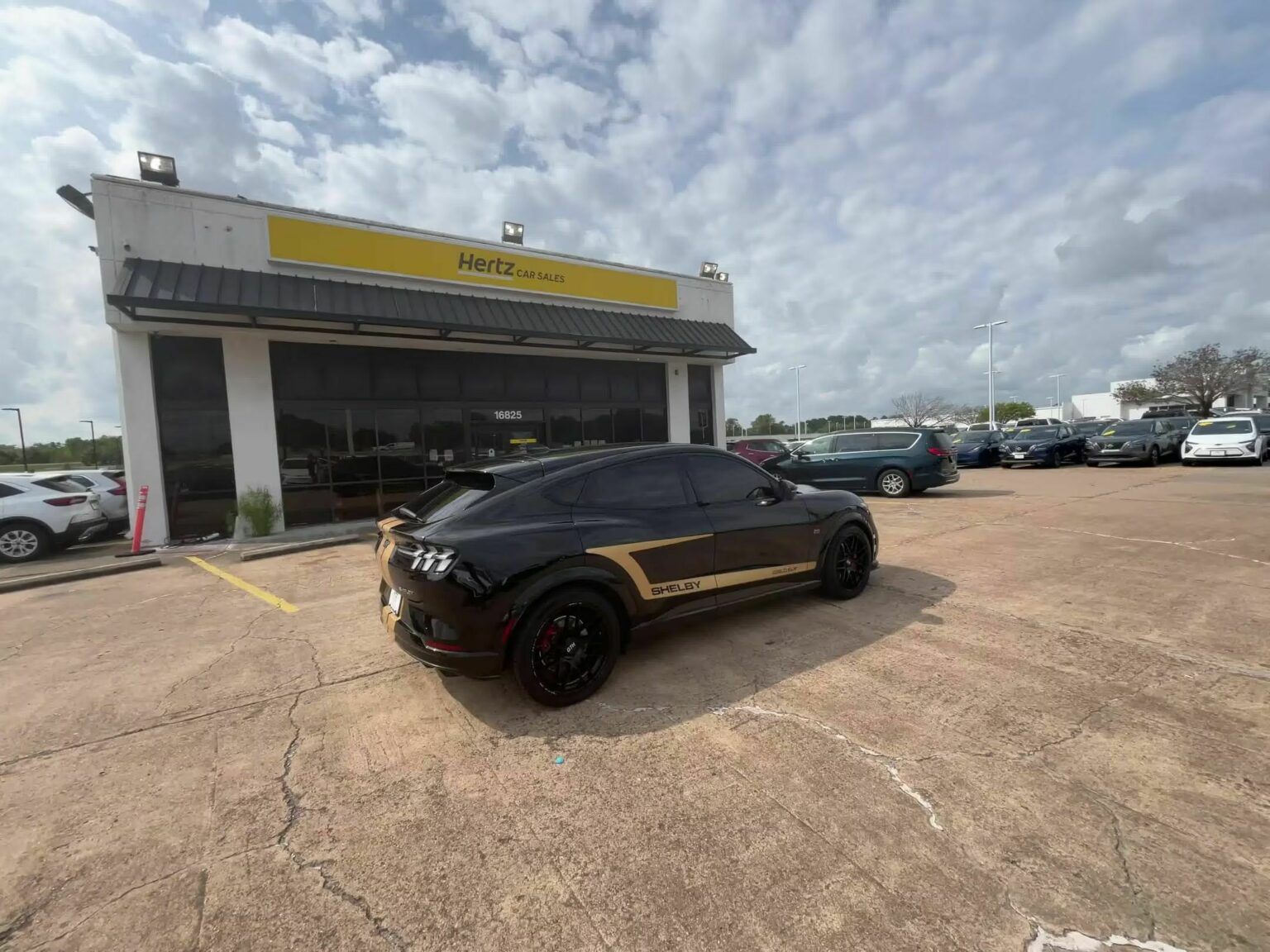 Hertz Slashes Prices On Shelby Mustang Mach-E, Some With Just 3K Miles ...