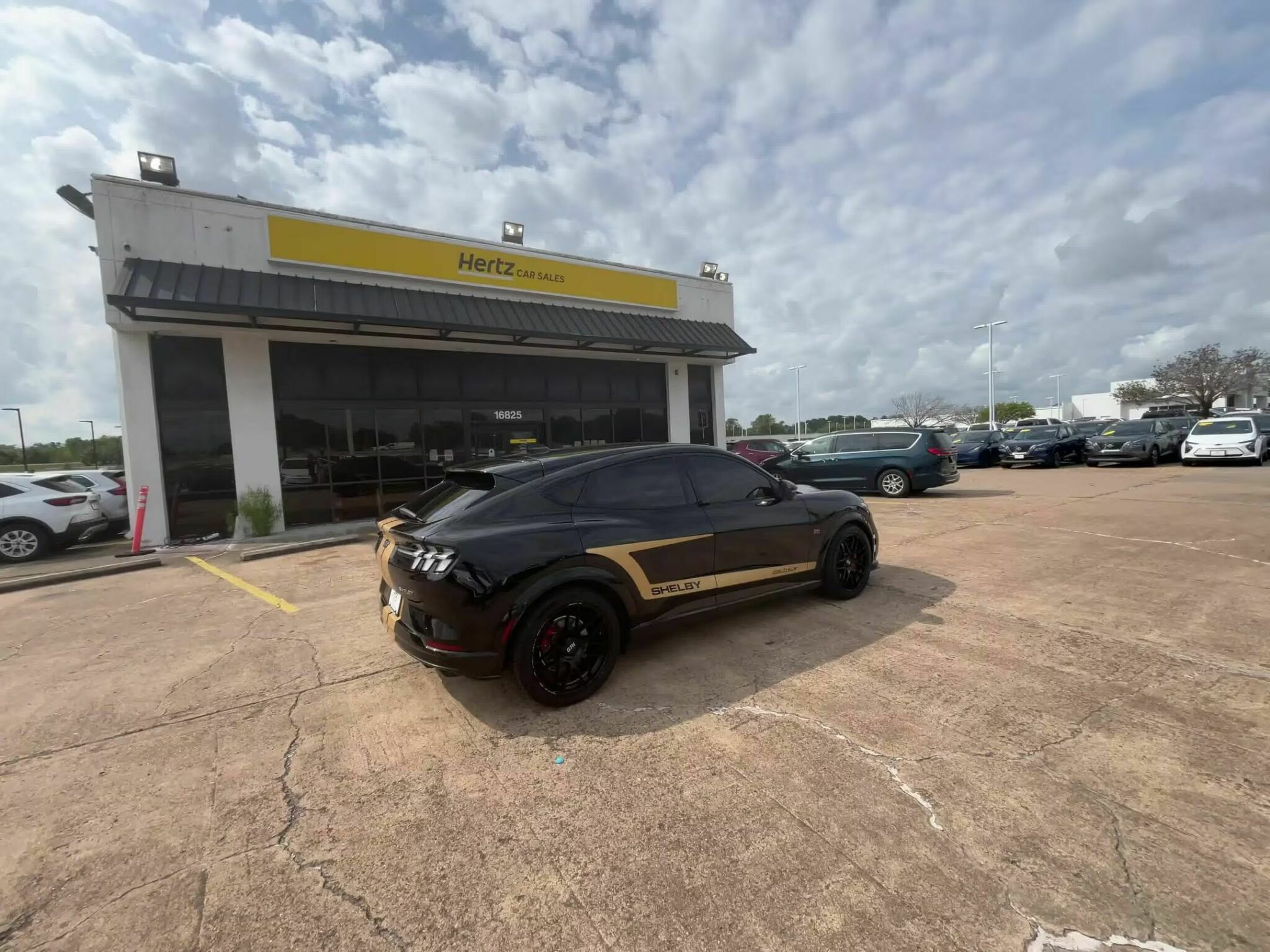 Hertz Slashes Prices On Shelby Mustang Mach-E, Some With Just 3K Miles ...