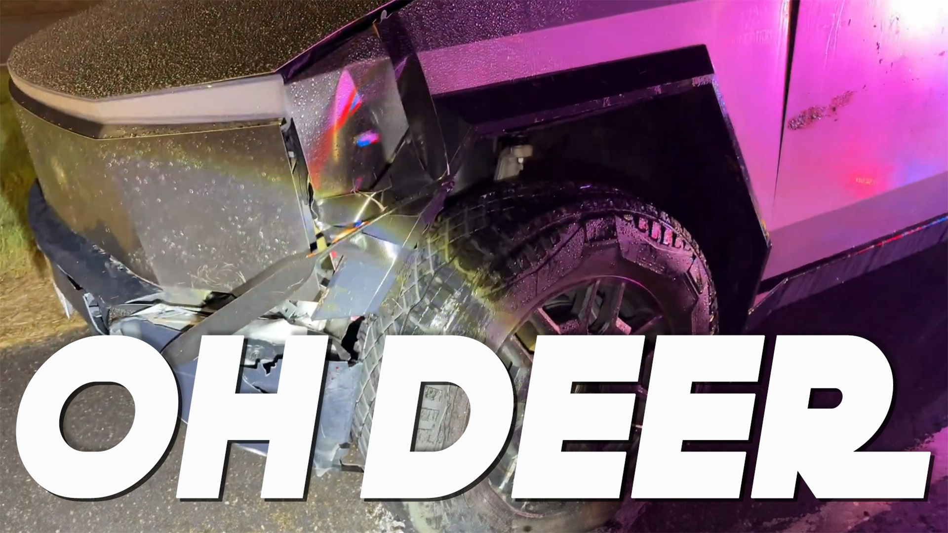 Tesla Cybertruck Survives 75 MPH Deer Impact With Impressively Little ...