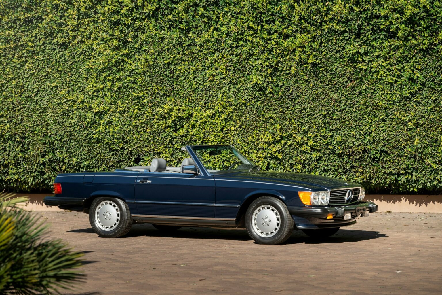 Todd Blue Really, Really Likes Collecting Blue Cars | Carscoops