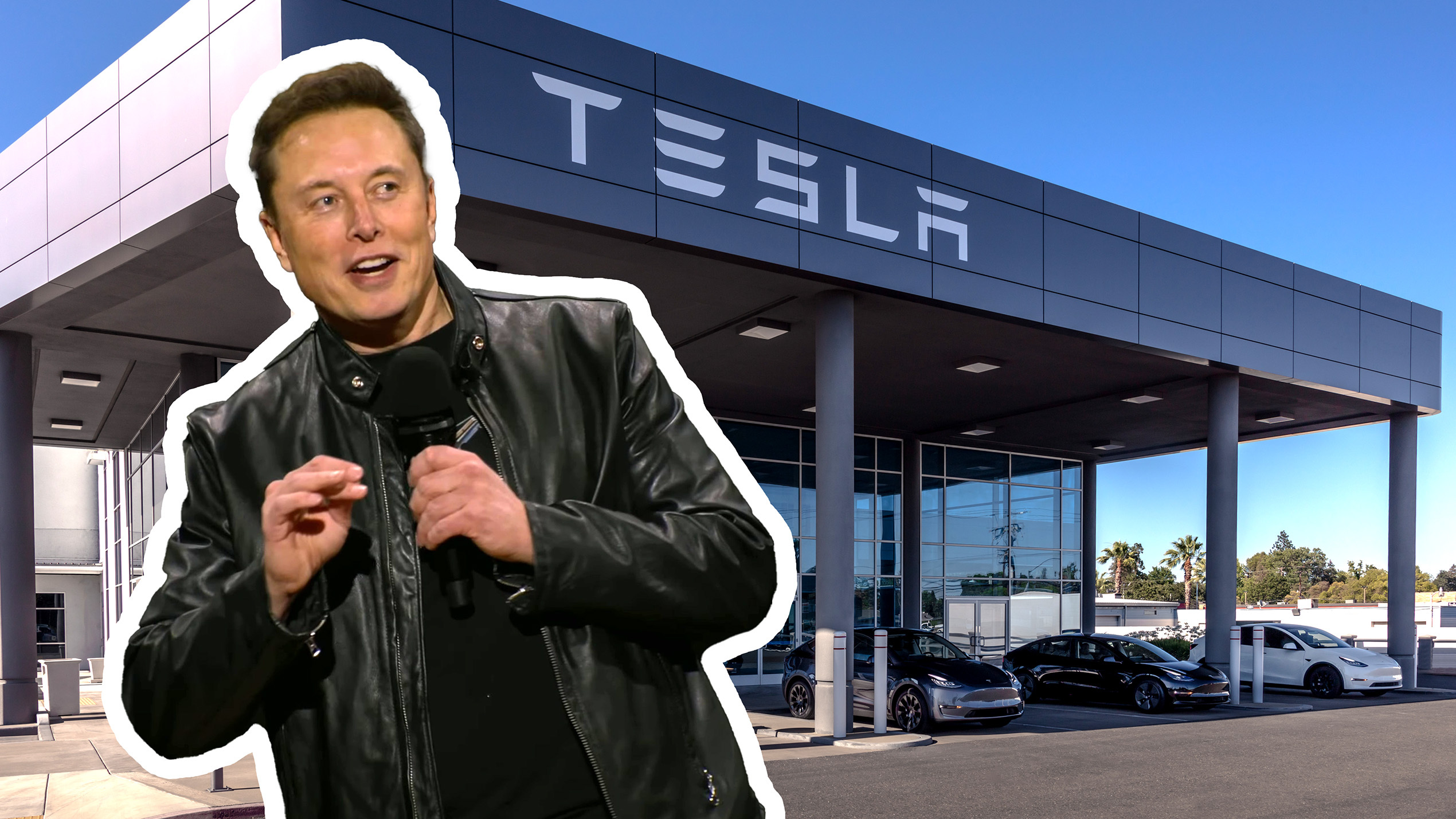 Survey Finds 67% Of Americans Won’t Buy A Tesla, Many Blame Musk ...
