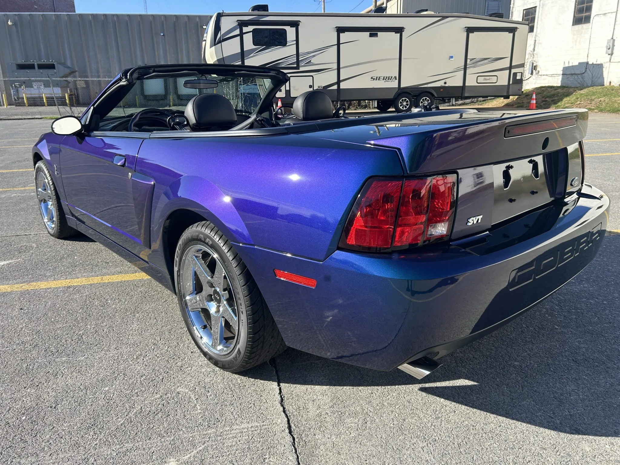 Mustang Svt Cobra Convertible