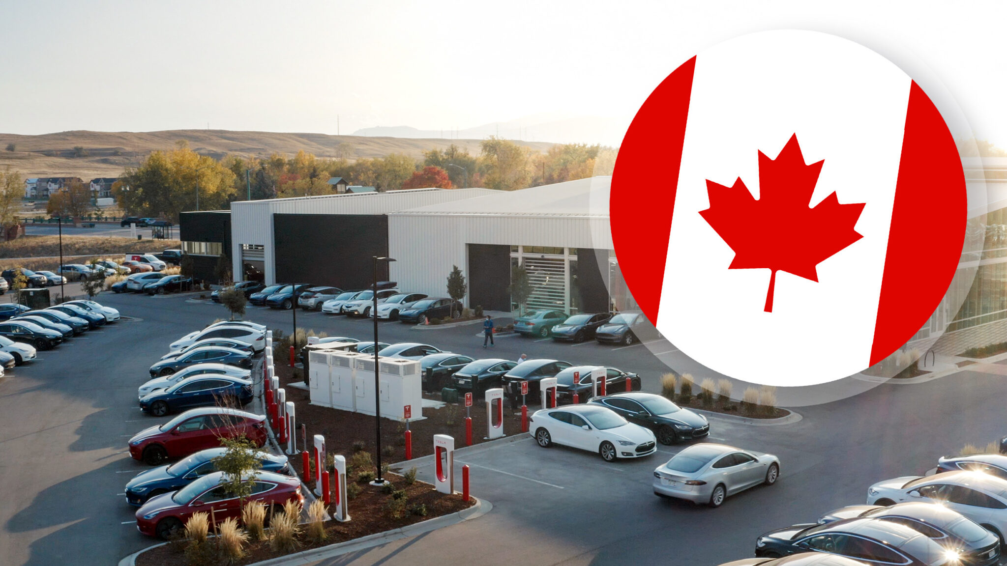 Over 80 Tesla Cars Vandalized At Canadian Dealership In Possibly The ...