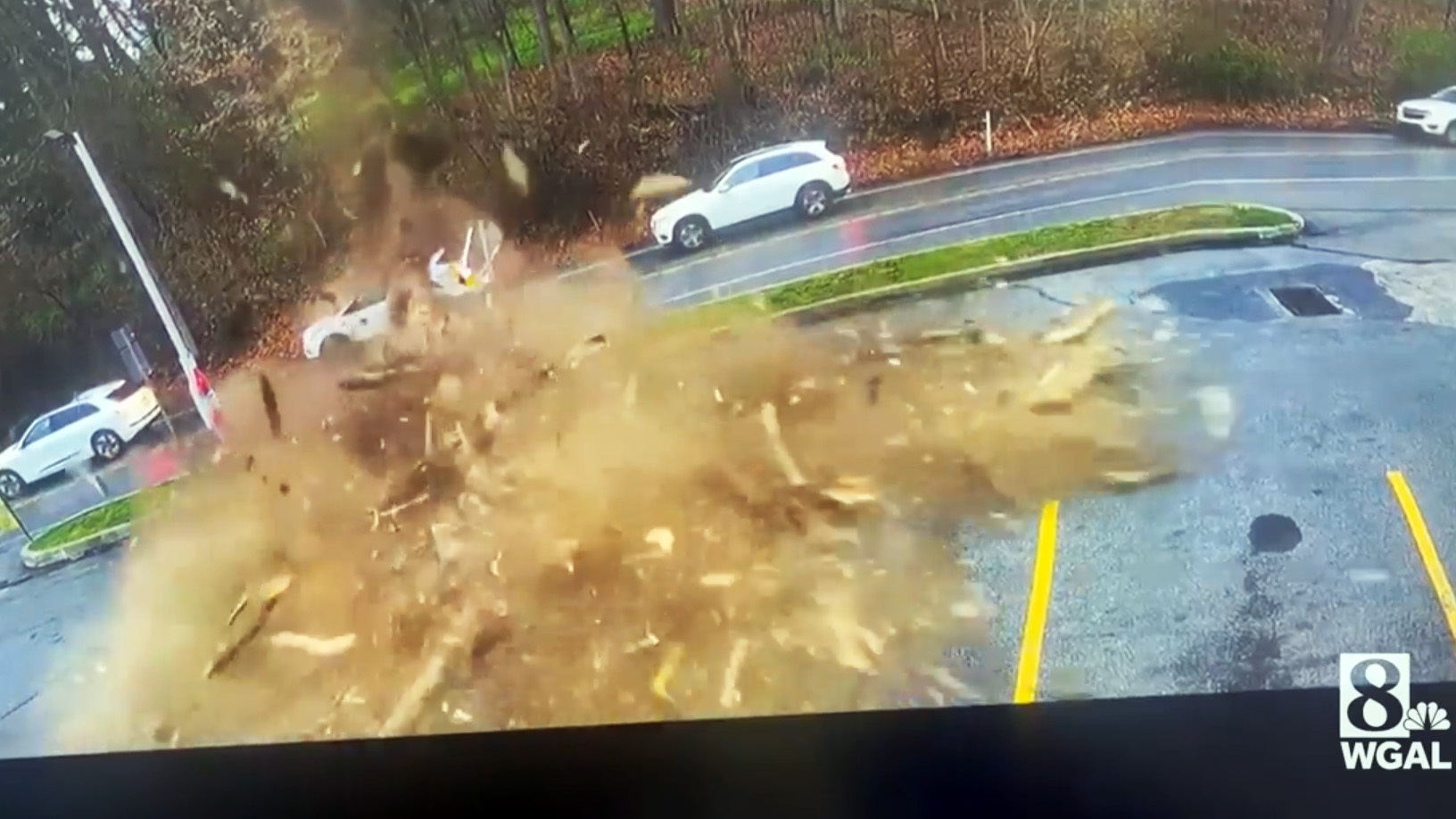 Massive Tree Crushes Ford SUV Like A Tin Can, But Driver Escapes ...