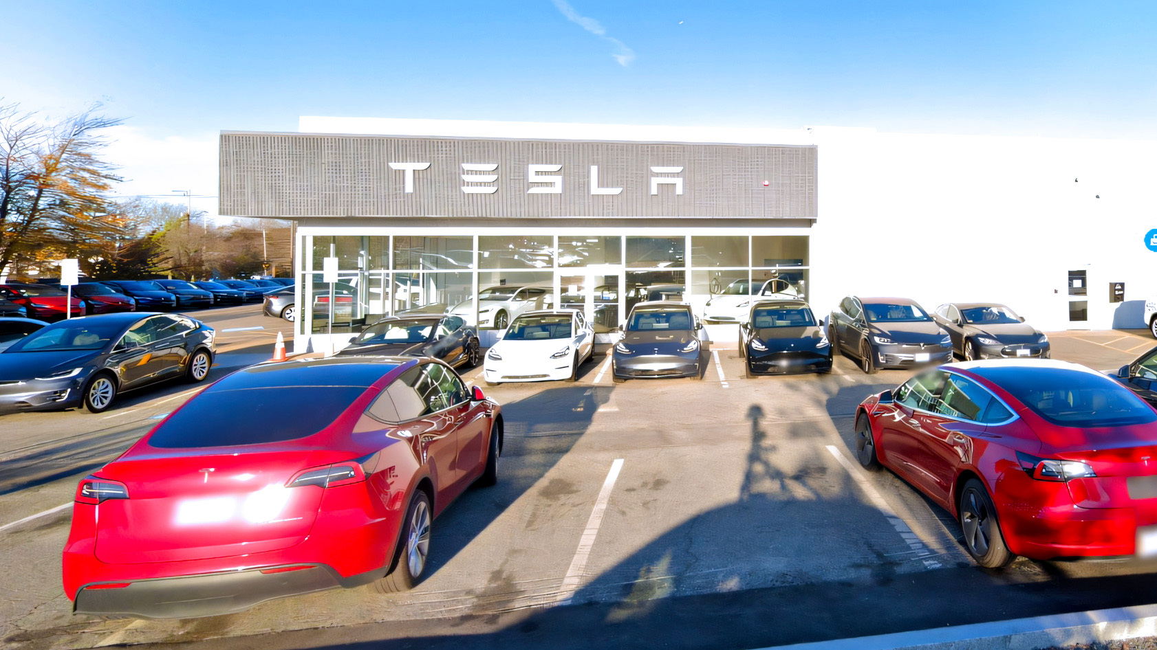 Man Trashed Over $500K In Teslas With Paint And Thought He’d Slip Away ...