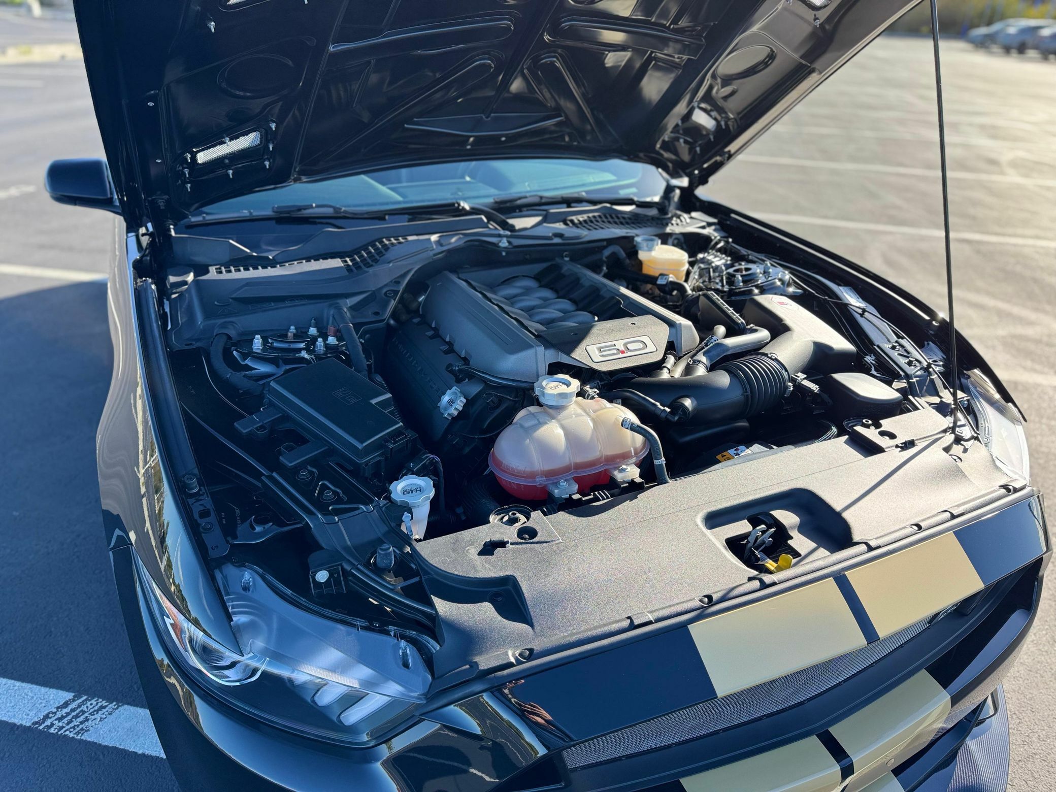 Dealer Refused $45K For This Hertz Mustang Shelby Rent-A-Racer | Carscoops