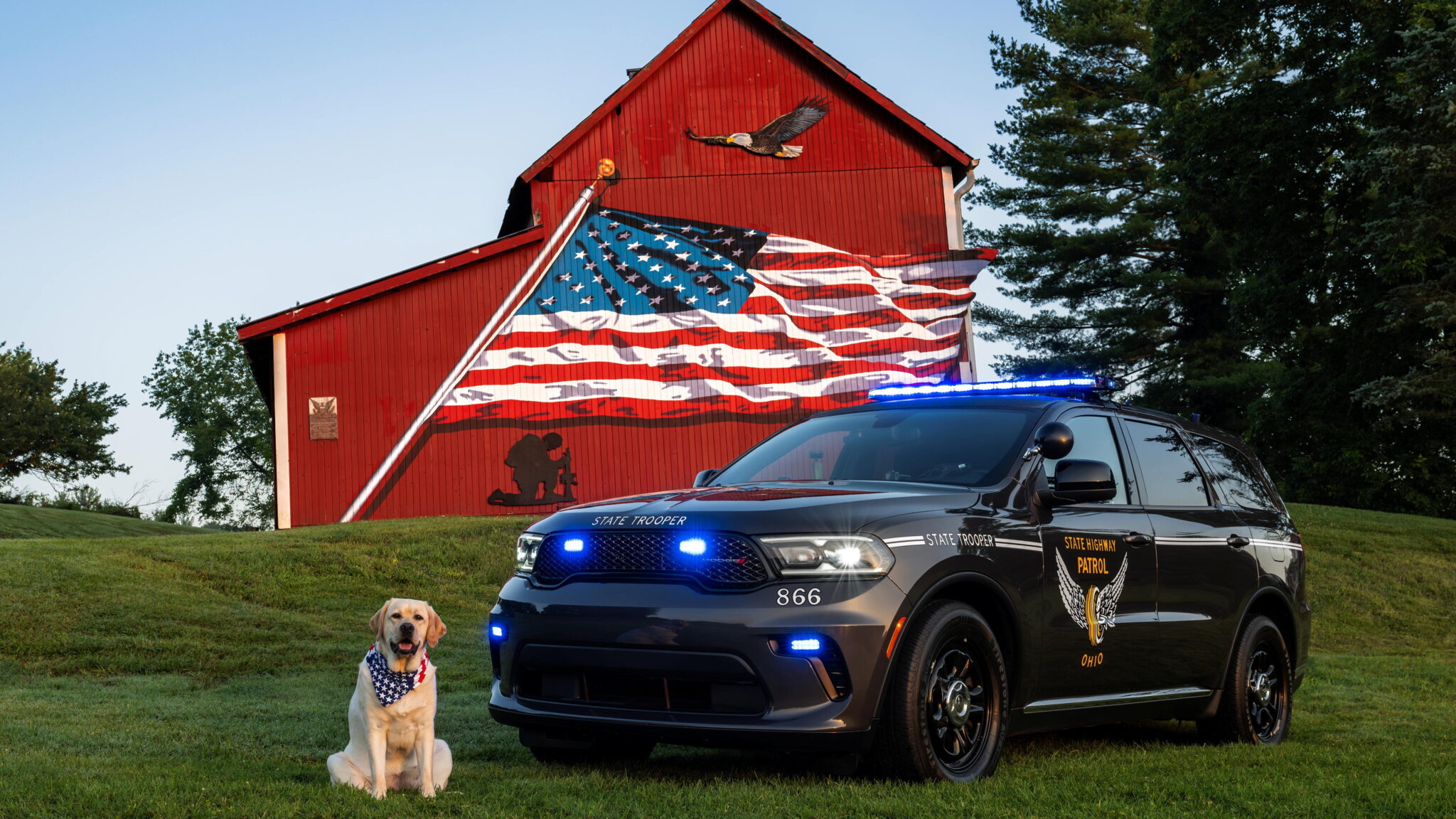 Paws, Props, and Patrol Cars: Our Totally Unofficial Cruiser Awards ...