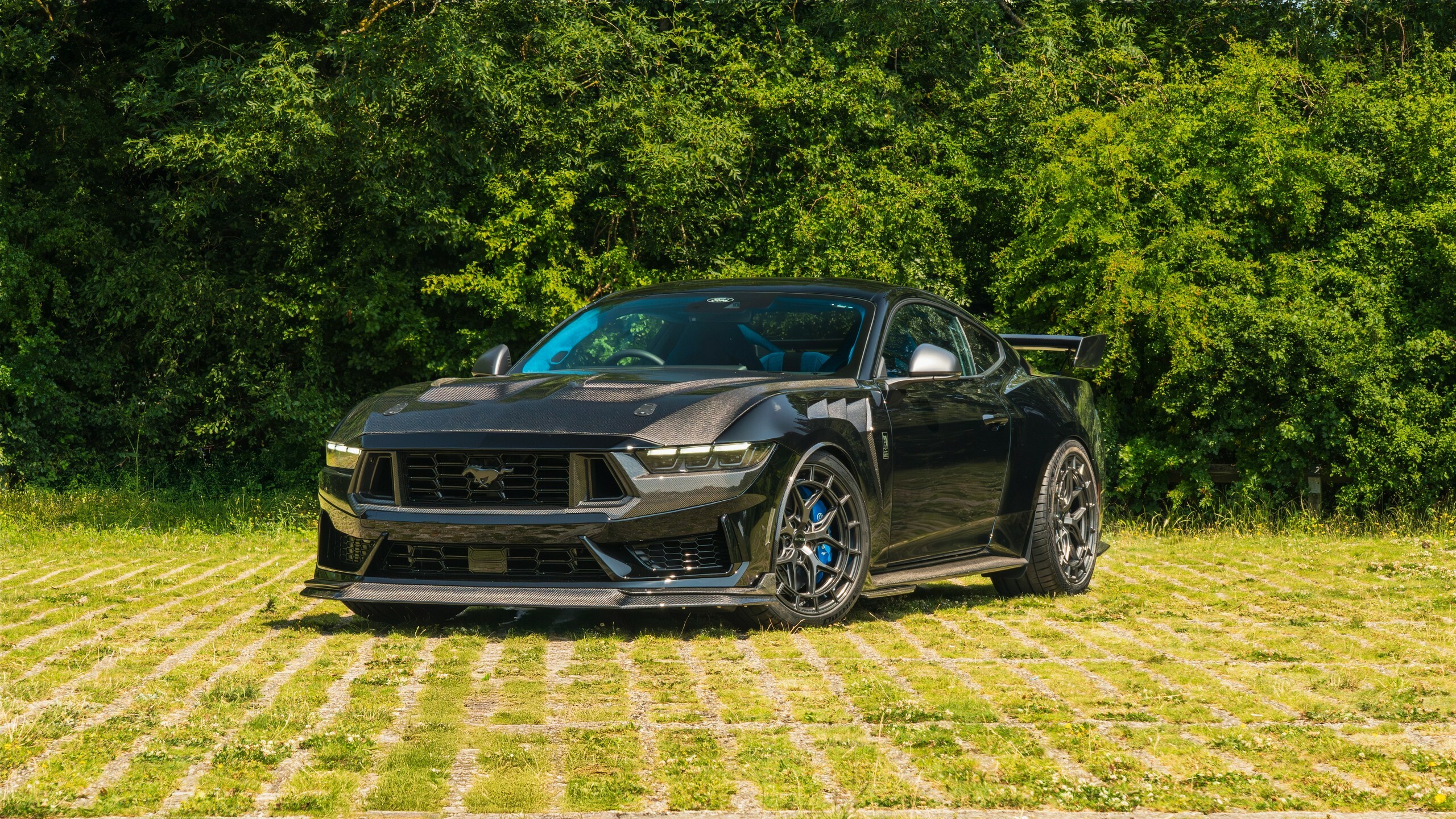 This Wild Mustang Is Part Dark Horse, Part GTD And Twice The Price You ...