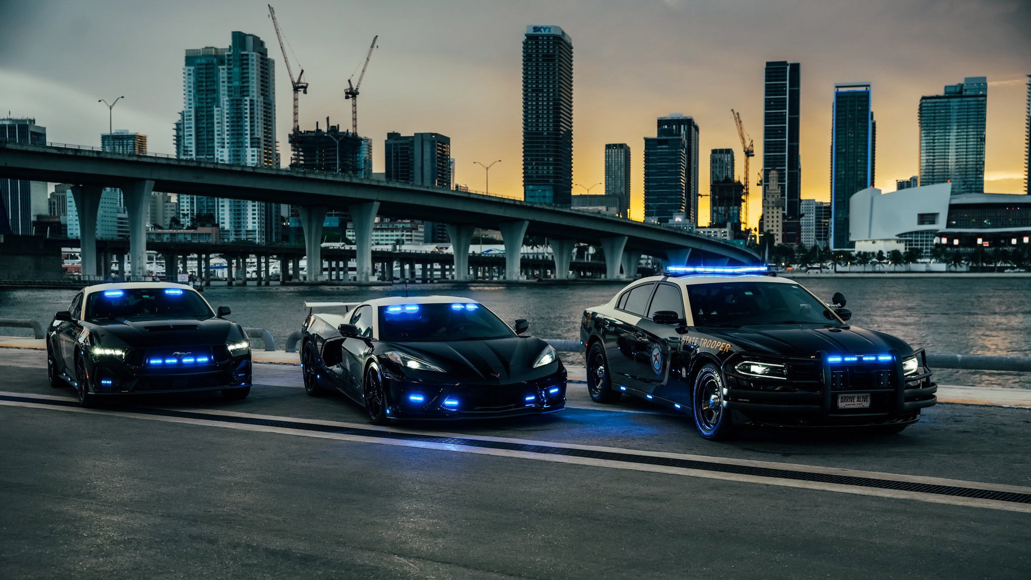 Florida Put A Mustang On Patrol But It’s Winning More Votes Than ...