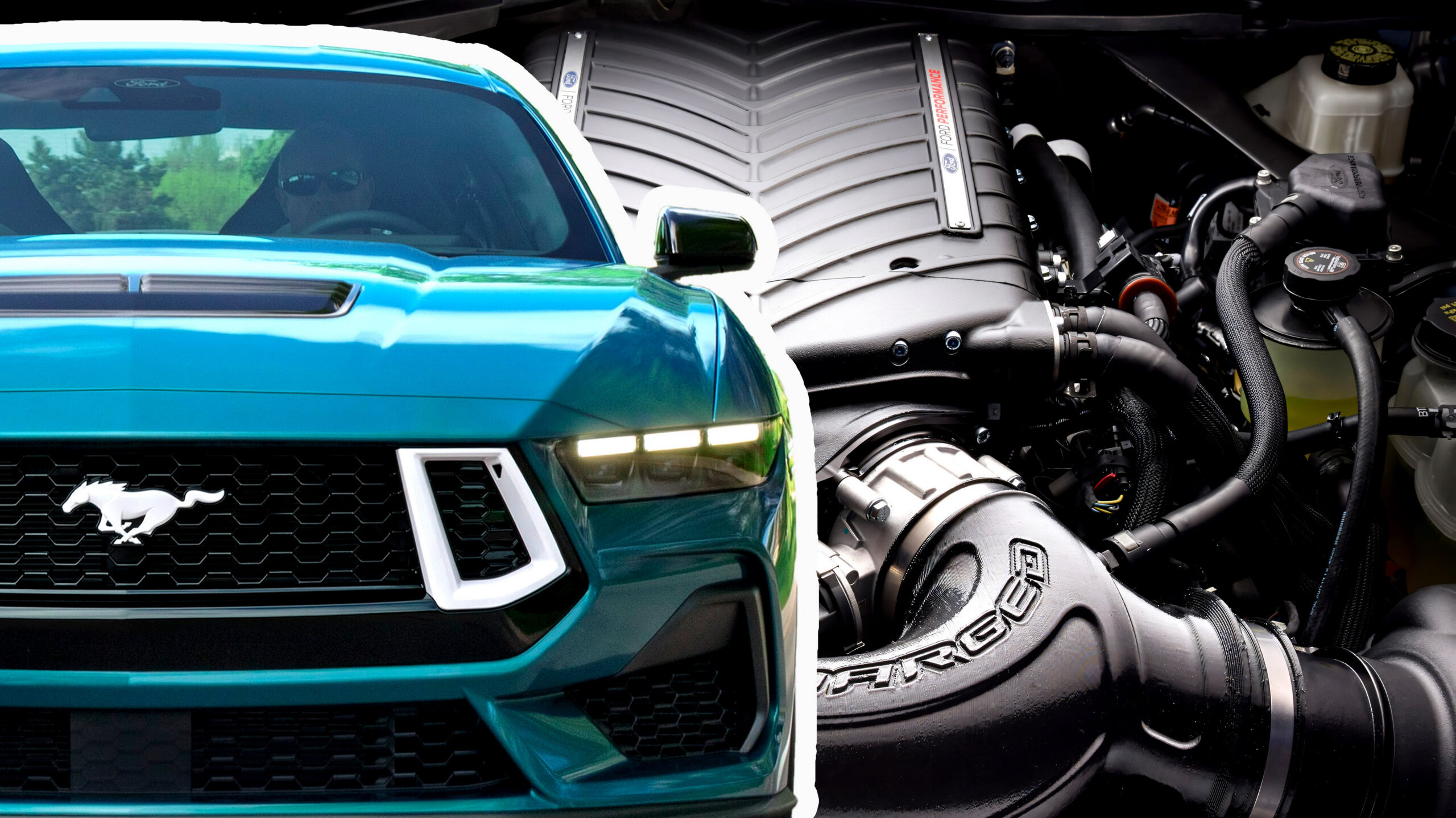 Warning! Over 1,000 Supercharged Mustangs May Accelerate On Their Own ...