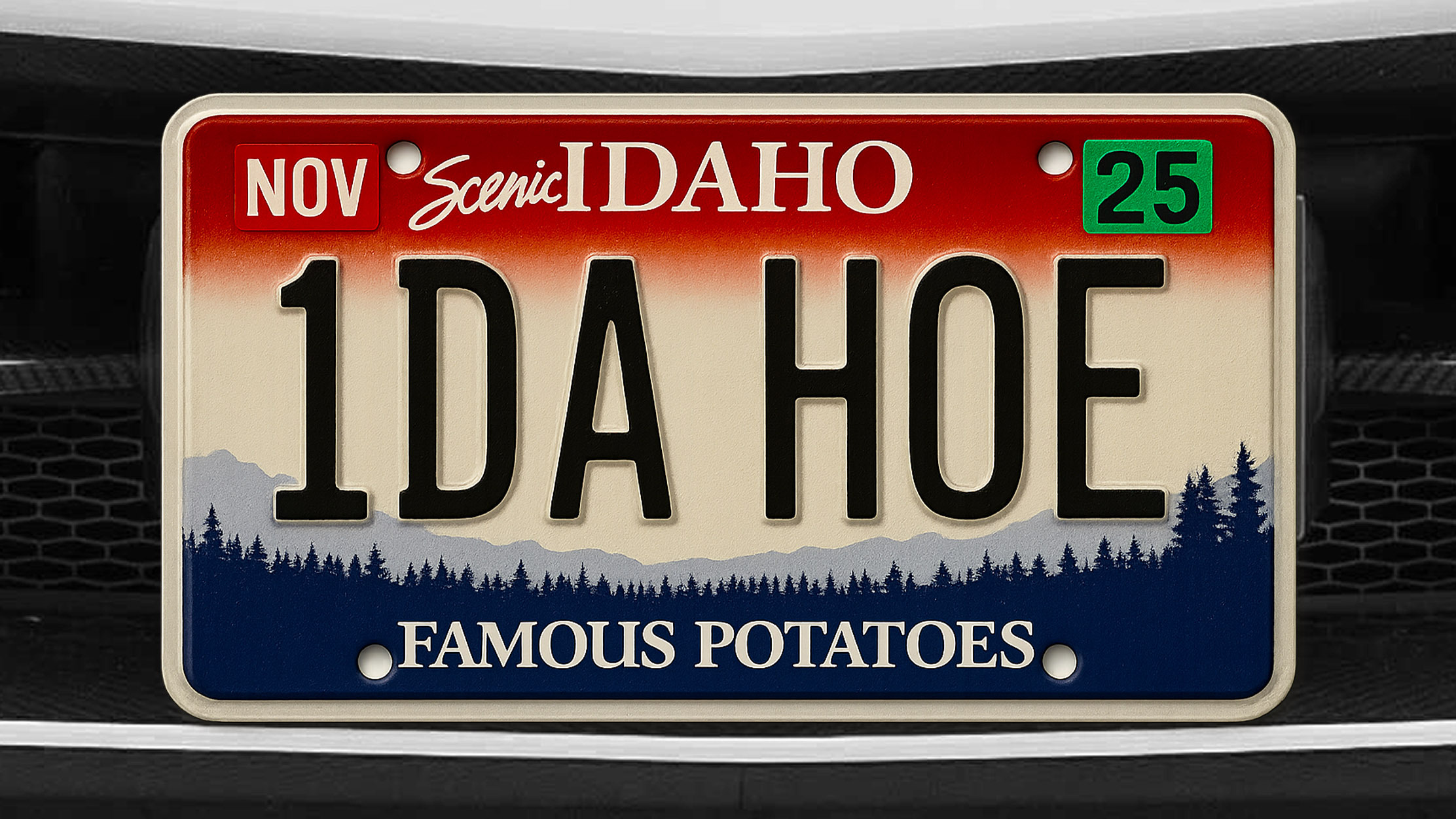 Idaho Cracked Down On Hundreds Of Custom License Plates For Crossing ...