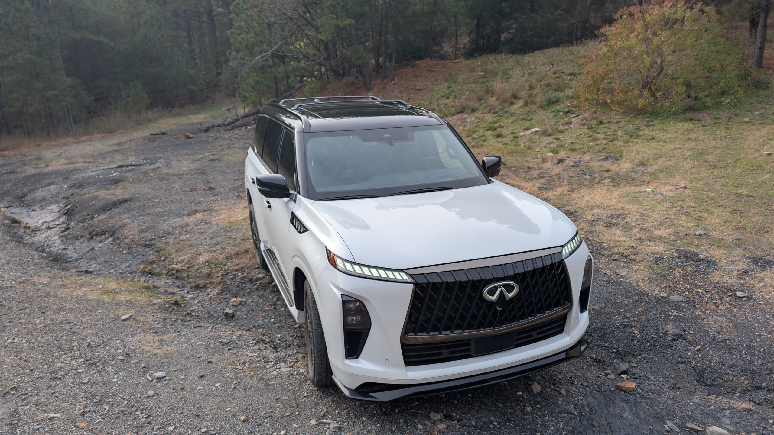 Infiniti’s 2026 QX80 Sport Looks Sharper And Drives Better, But One ...