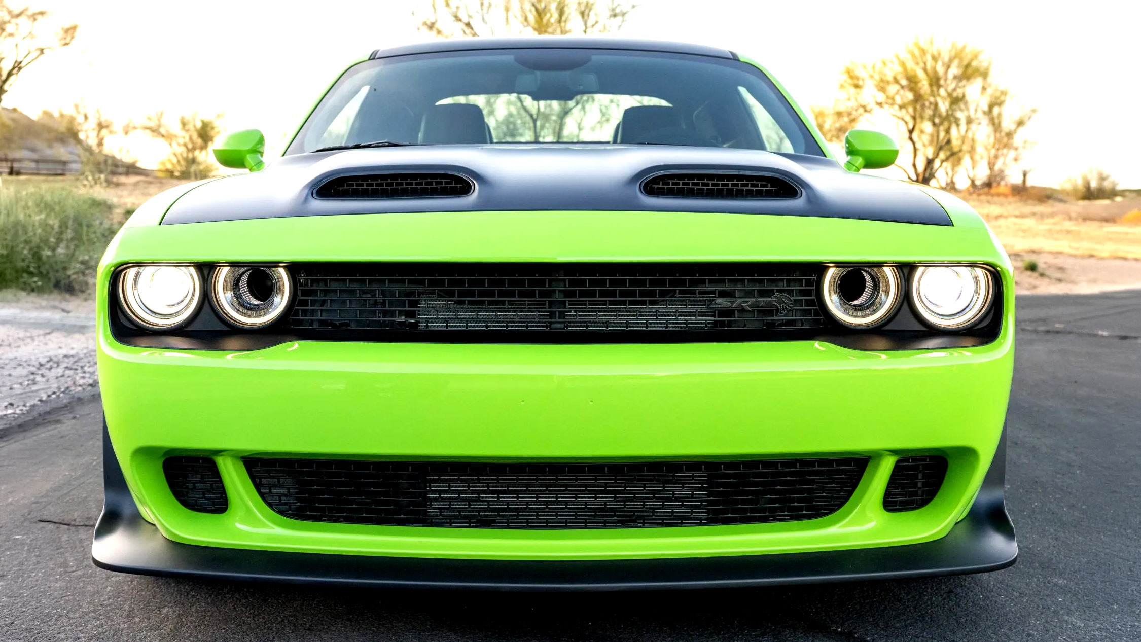 The Last Dodge Challengers Were Supposed To Age Into Money, Not Lose ...